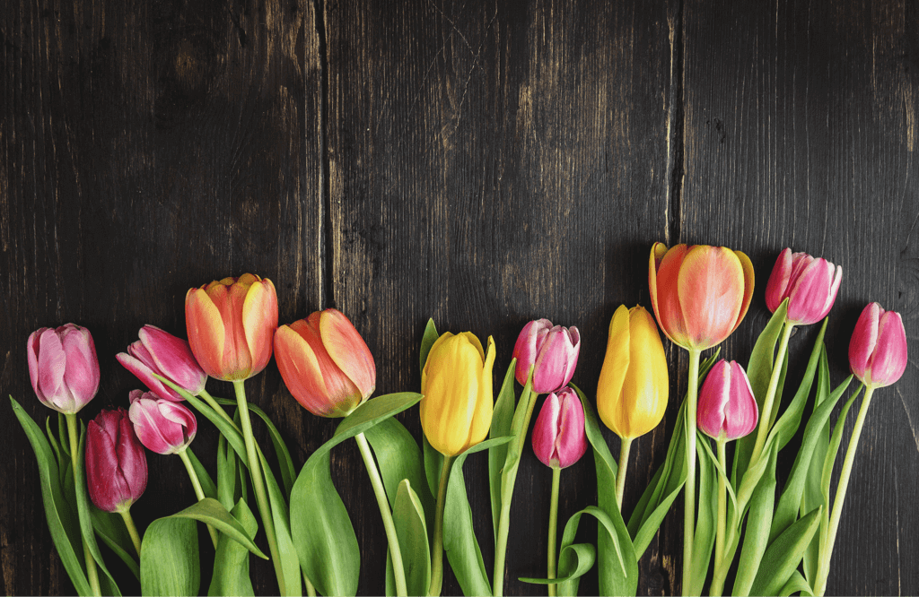 March into Spring with More Data, Dashboards, and Features | Rival IQ